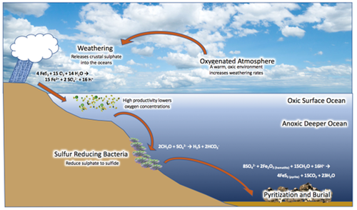 硫化海洋与铁化海洋的由来——张奥-组会讨论-金属稳定同位素实验室